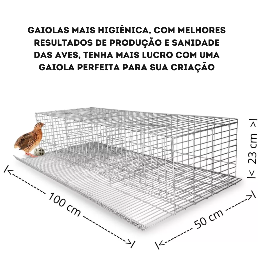 KIT 5 Gaiola para Codornão (Codorna Gigante) - AgroCampo