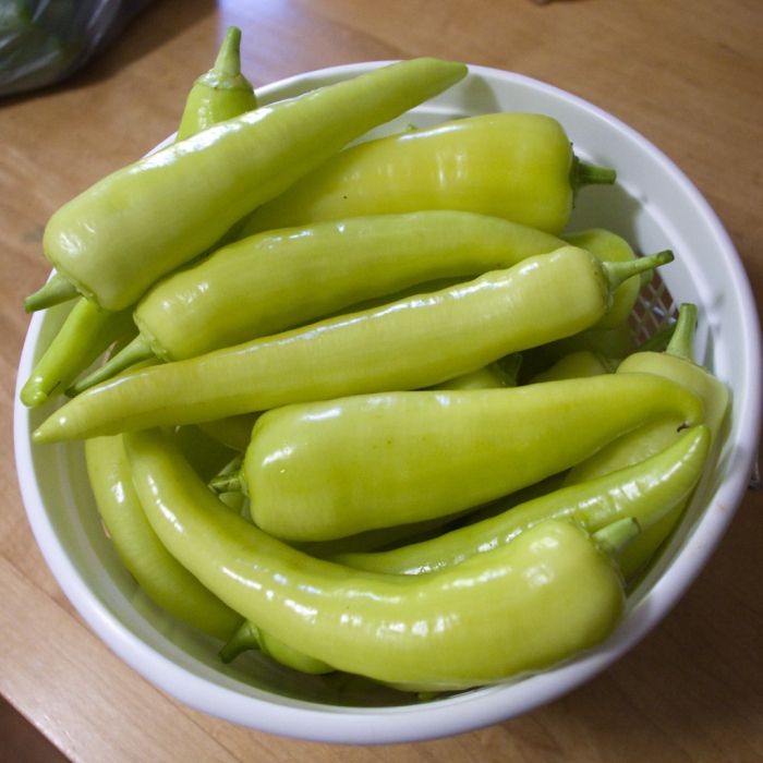 Comprar Sementes de Pimenta Banana Pepper - Semente Rara - Venda de ...