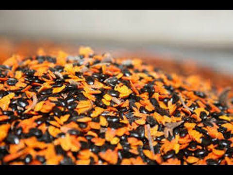 Comprar Sementes de Acácia Australiana (Acácia Mangium) - Semente Rara ...