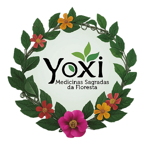 YOXI BRASIL