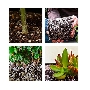 Substrato inerte, turfa, perlita, fibra de coco, lã de rocha