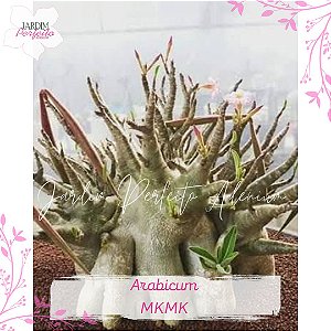 COLECIONADORES - Jardim Perfeito Adenium Ltda