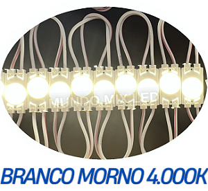 Modulo De LED Para Comunicação Visual, Luminosos, Letras Caixas