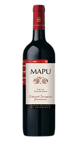 Chile - Vinhos Rica Arte