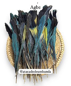 Penas Africanas Autênticas para Suas Práticas Religiosas