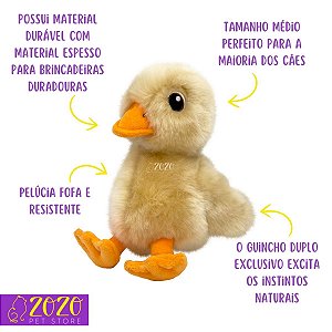 Zozo Pet Store