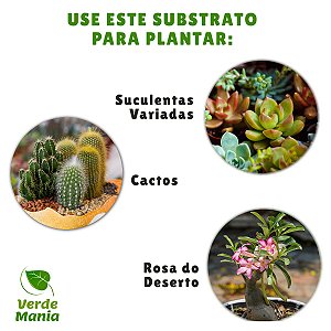 Substratos