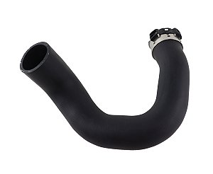 Paraíso das Mangueiras - Loja Online