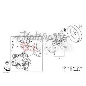 MATARAZZO IMPORTS | PREMIUM PARTS