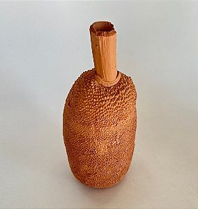 Linha de Vasos de Barro da Casa & Equilíbrio