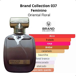 Dream Brand Collection - Brand Collection