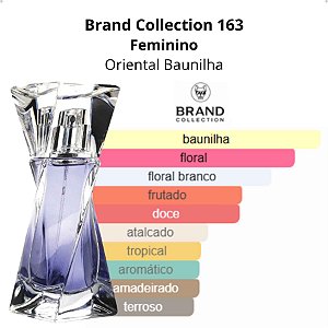 Dream Brand Collection - Brand Collection