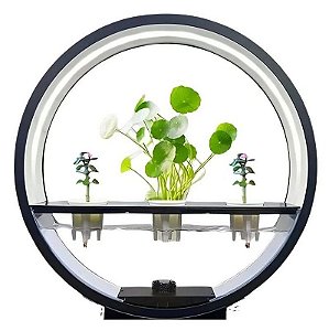 LUMINÁRIA - Loja Tomate