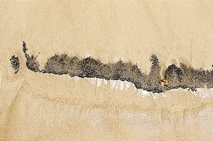 Tríptico - DAYAN FINEART