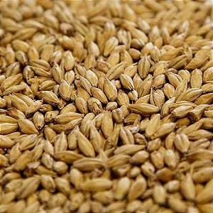 Piquiri Brewshop - Loja De Lúpulos, Extrato De Malte e Mais | Piquiri