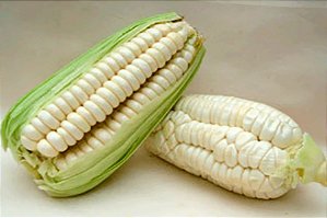 Milhos Peruanos - Produtos Peruanos