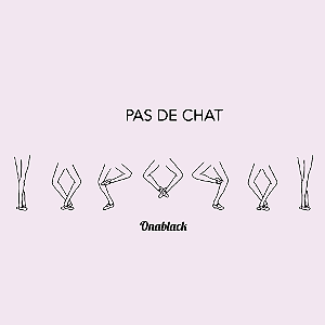 Onablack - As melhores camisetas de ballet e dança