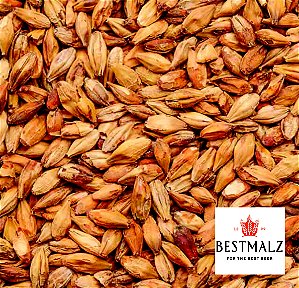 MALTES - Craft Beer Brew Shop