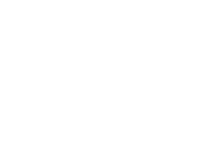 Dora Coffee Roaster