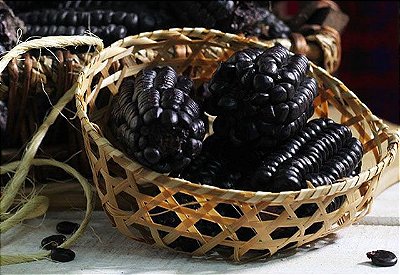 Milho Roxo Peruano Maíz Morado 500g - Produtos Bolivianos