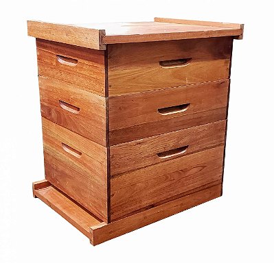 Colmeia Padrão Langstroth Com 01 Ninho e 01 Melgueira Cobertura de ...