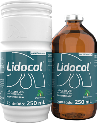 Lidocol 100 mL - JA Saúde Animal - Loja Online