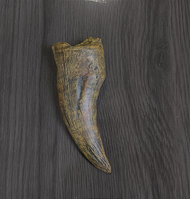 Dinoloja - A melhor loja de dinossauros de coleção do Brasil!