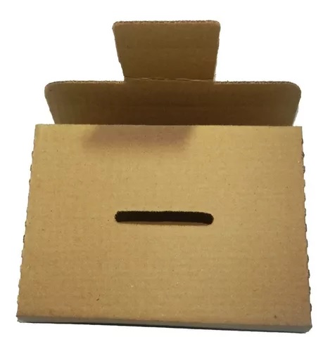 Caixa Papelão Tipo Envelope N2 24x17,5x2 cm - 50 Unidades - CASA DO PAPELÃO