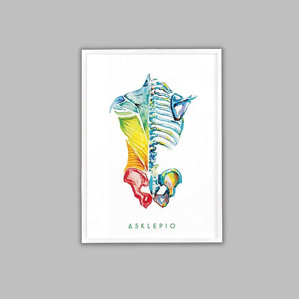 Kit Quadros Aquarela - Medical Place - Loja de Produtos Hospitalares ...