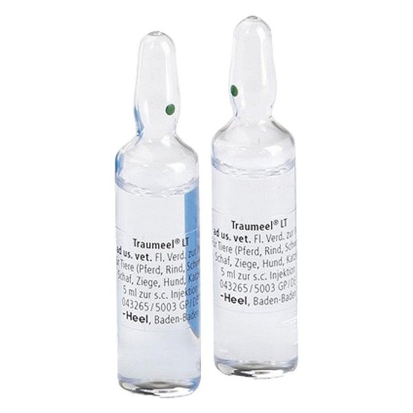 Traumeel Injetável 5 Ampolas De 5 mL - Heel Vet - Kajavet Farmácia ...