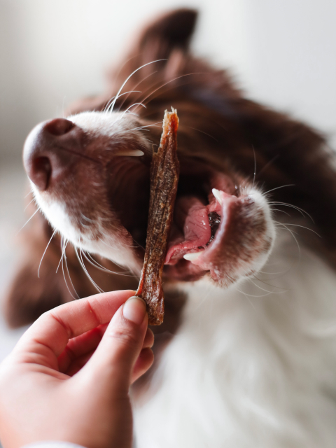 Tiras Suínas - Natuka