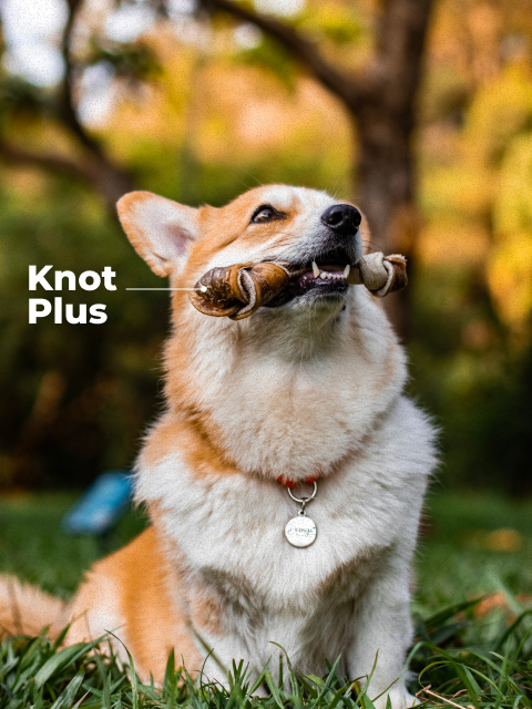 Natuka Box Relaxa G - Natuka