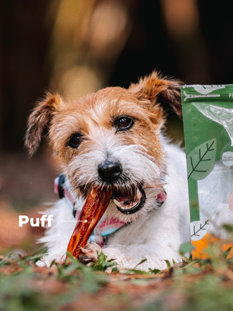 Natuka Box Relaxa P - Natuka