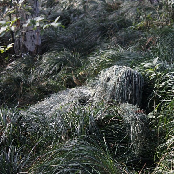 Traje de Camuflagem Ghillie Suit 3d - LOJA WWART - Tático Militar ...