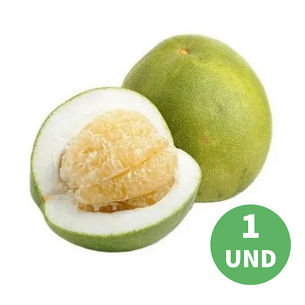 Muda de Laranja Zamboa Enxertada - para Doces-Dancruz - Dancruz Plantas