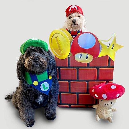 Fantasia para Cachorros e Gatos Super Mario Bros | Bichinho Virtual ...
