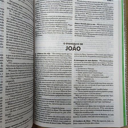 Bíblia Sagrada Mig e Meg NTLH Capa Brochura Meg - SBB - Gospel Commerce ...