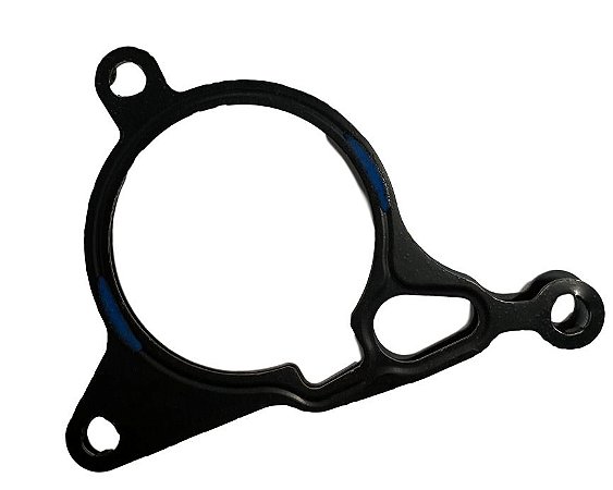 Junta Bomba de Vácuo Motor TSI Jetta Tiguan Q3 06H103121F - GSANTOS ...