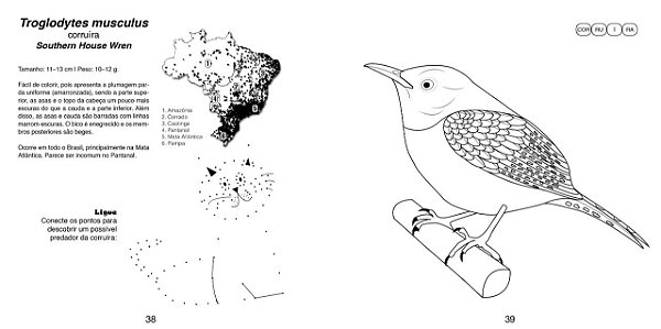 Livro Aves da Caatinga: Colorir & Aprender - LOOK! Birdwatching