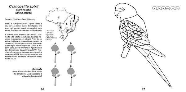 Livro Aves da Caatinga: Colorir & Aprender - LOOK! Birdwatching