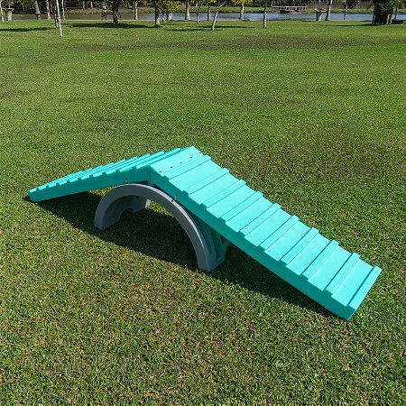 Rampa Escalada Grande Pet Agility Spring Cachorro Freso - Freso - Loja ...