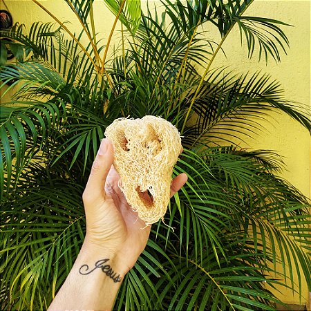Esponja bucha vegetal natural orgânica - BioEco Brasil