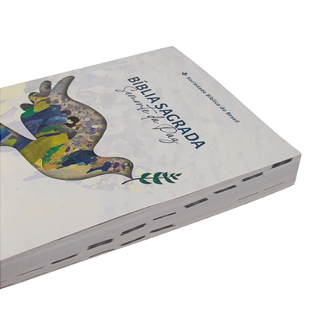 Bíblia Sagrada Naa Evangelização - Semente Da Paz - Novo Israel ...