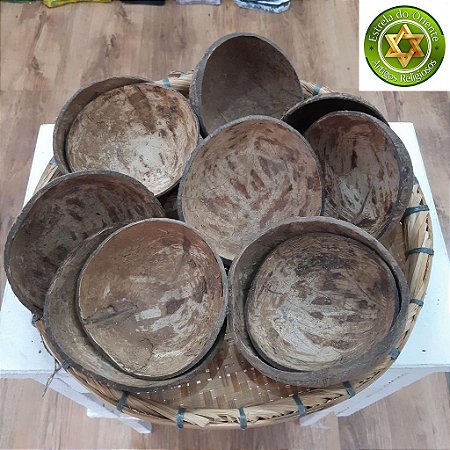 Coité / Coeté / Cuete / Cuia de Coco Natural sem base - Loja Estrela do ...