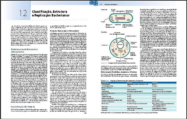 Murray Microbiologia Médica 7ª Edição PDF | Download Imediato - Los ...