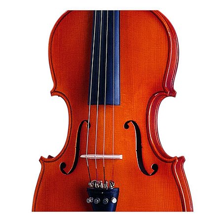 Violino Michael VNM40 4/4 Tradicional com Estojo e Arco de Crina - Look ...