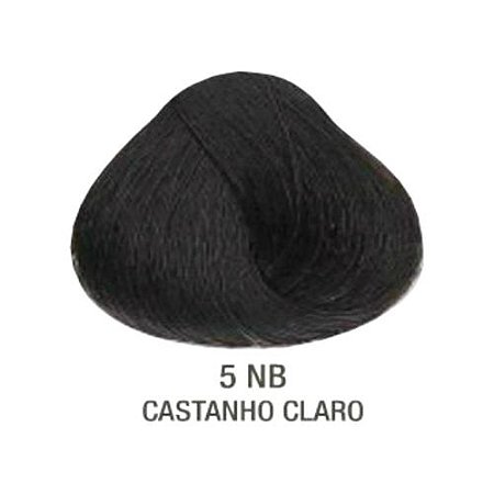 Coloração Alfaparf Evolution 5NB Castanho Claro - Flowers Perfumarias ...