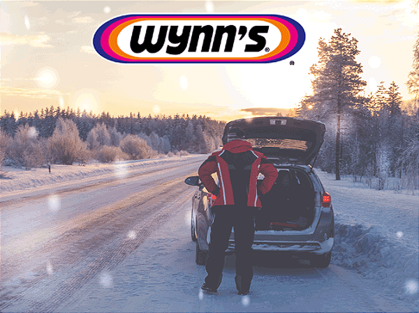 ANTICONGELANTE PARA DIESEL - WYNN´S ICE PROOF FOR DIESEL 250 ML - Fast ...