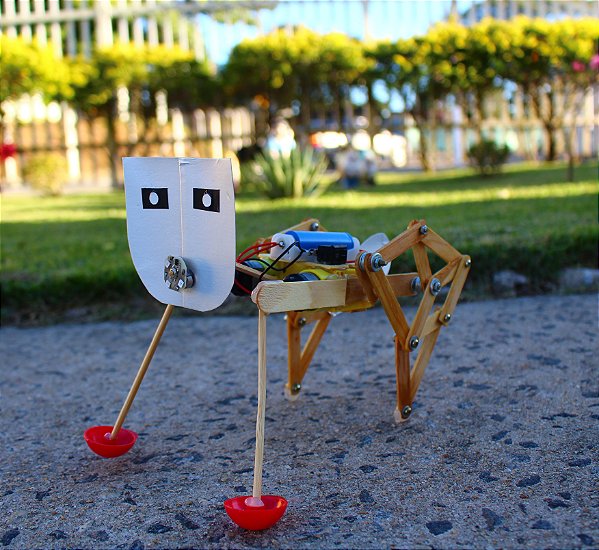 Robô Animalbot DIY - Kit Robótica Educação Maker - Robótica Educacional ...