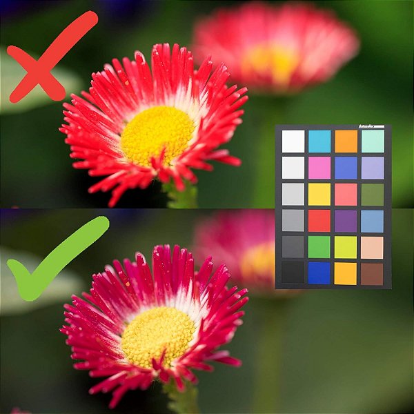 Datacolor SpyderCHECKR 24 - Calibrador de Cores Profissional ...